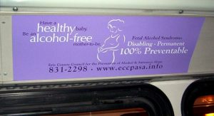 Bus Advertisements 101: Interior AdsDOmedia | Out-of-Home Media News